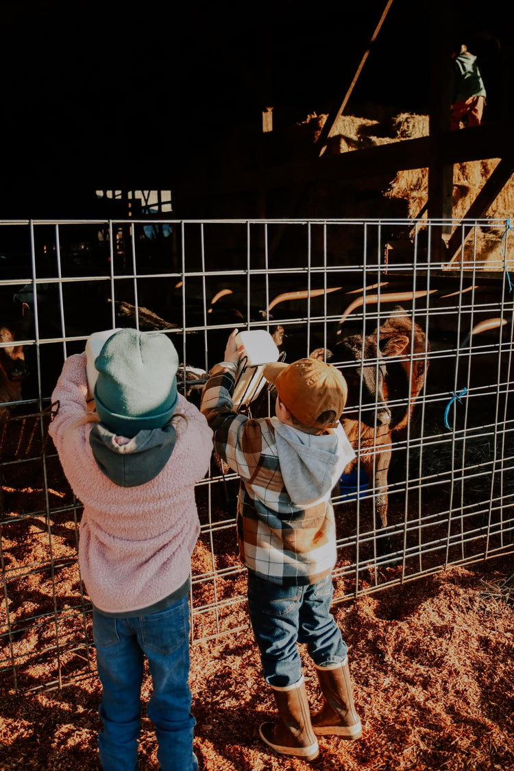 Origin – Naillon Farm and Feed